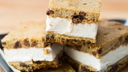 Snack - How to store homemade ice cream sandwiches recipes