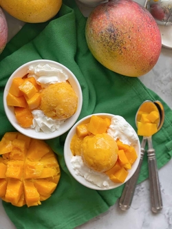 Ice cream - Mango nonfat frozen yogurt130 caloriesoldxx13 frozen yogurt ...
