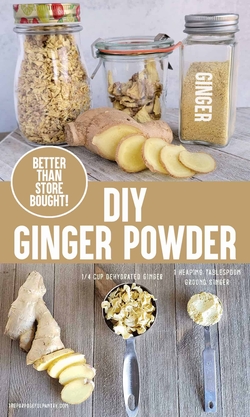 How to make ginger powder at home recipes - Spice blend
